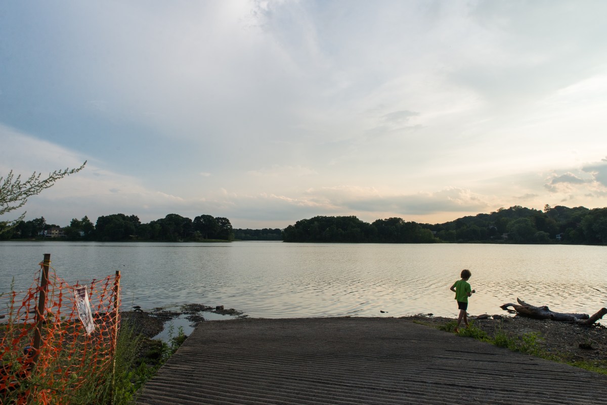 Spy Pond – Icons of Arlington