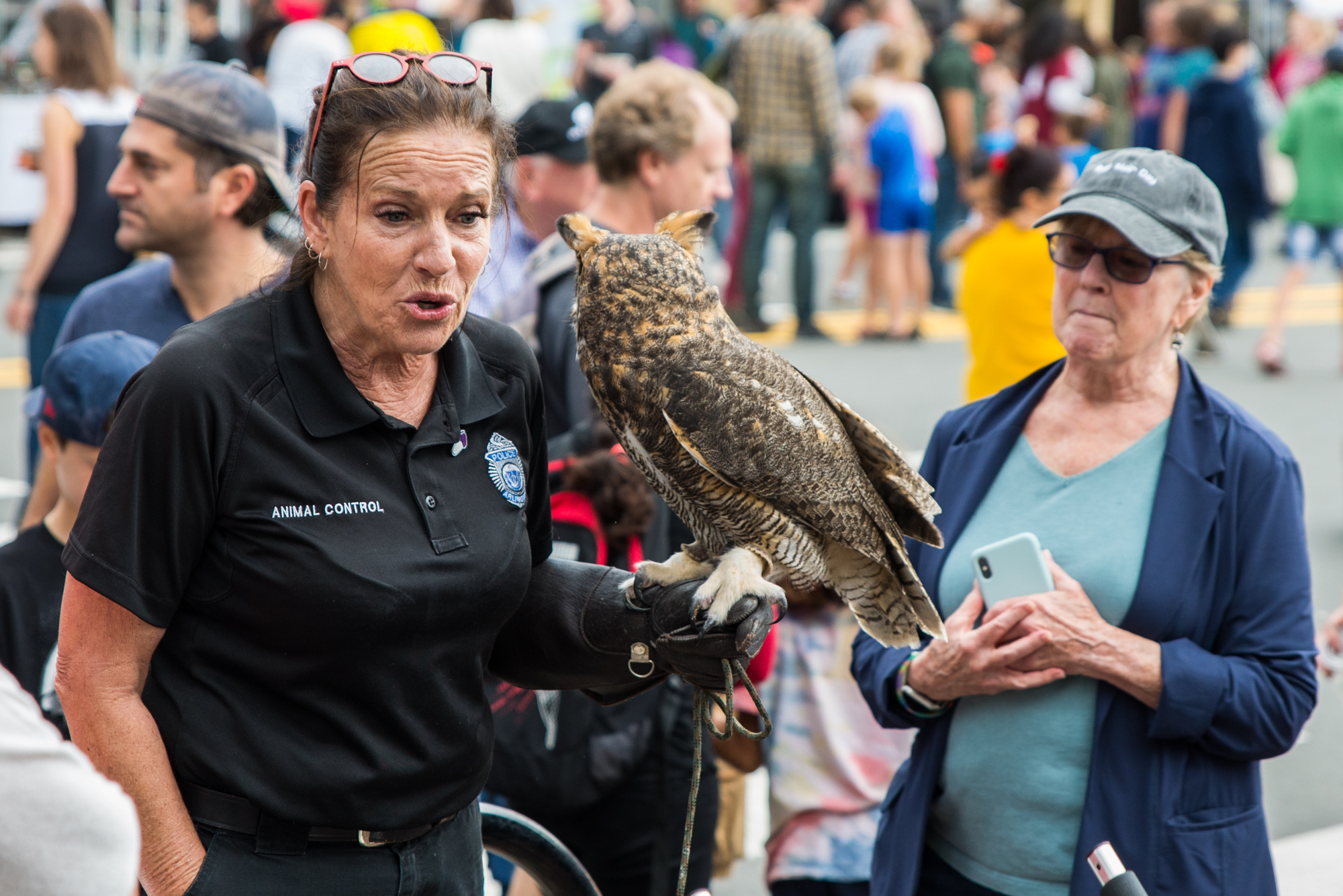 Arlington Town Day – Icons of Arlington